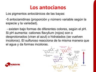 Estabilizar el color de los vinos tintos. Comparativo de taninos de ...