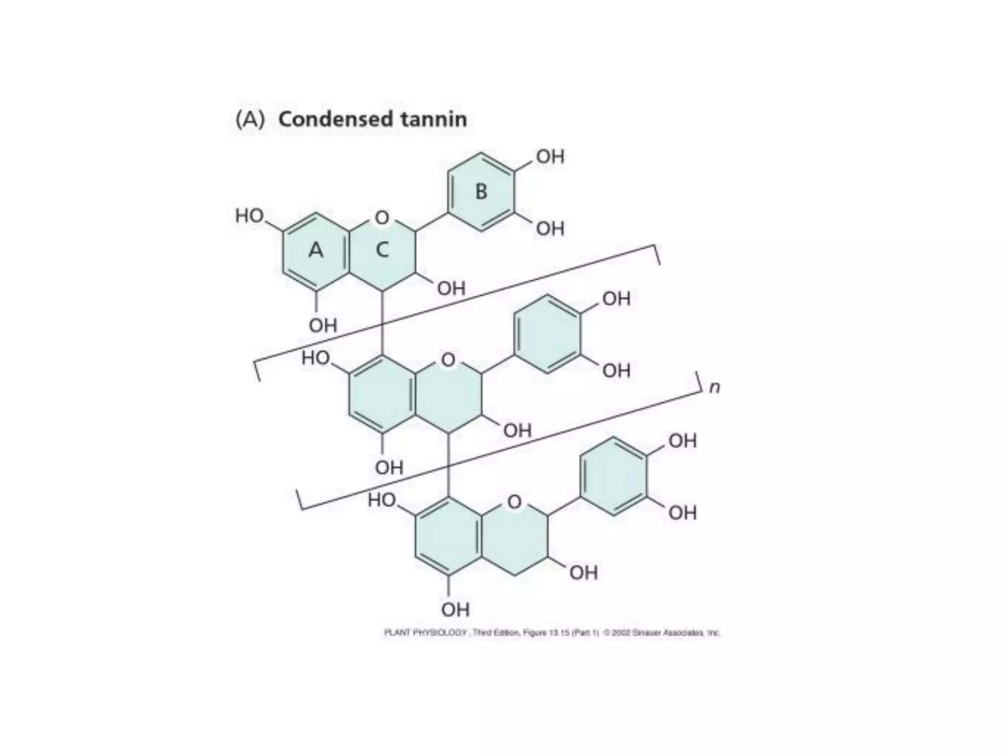 Tanin va duoc lieu chua tanin | PDF