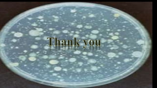 microbial growth ppt | PPT