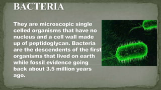 microbial growth ppt | PPT