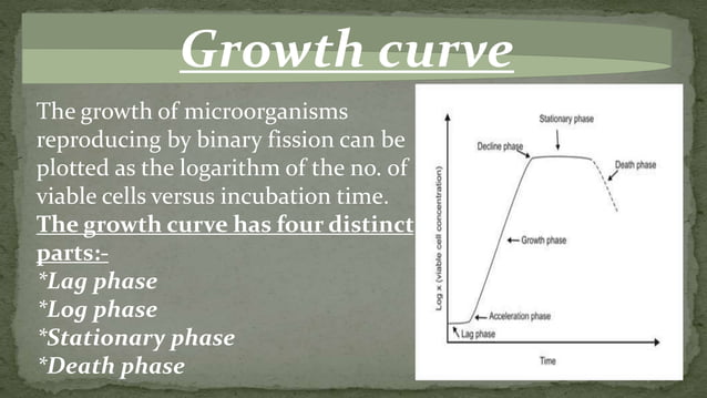 microbial growth ppt | PPT