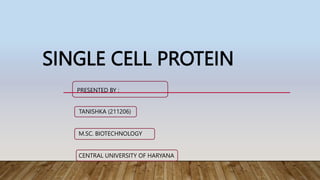 SINGLE CELL PROTEIN | PPT