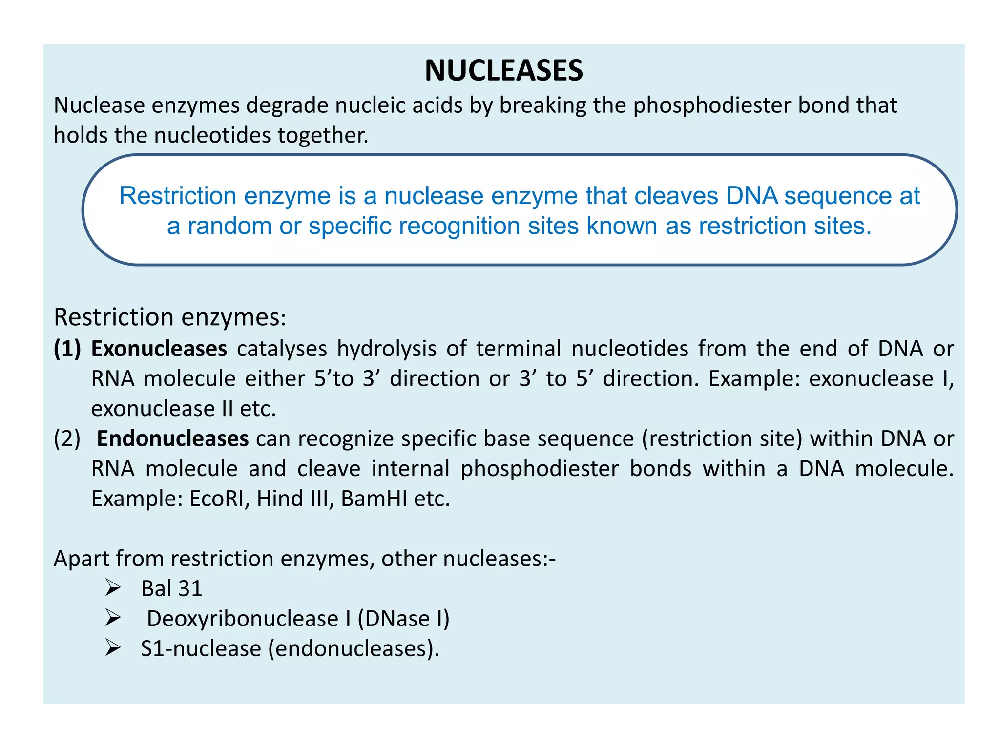 Taniya | PPTX | Genetics | Science