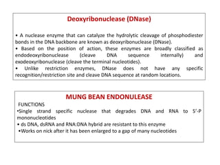 Taniya | PPTX | Genetics | Science