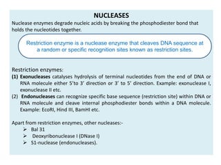 Taniya | PPTX | Genetics | Science