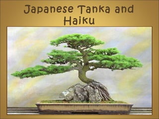 Tanka and haiku discussion | PPT
