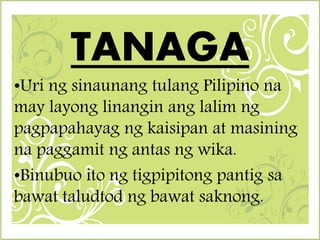 Tanka at Haiku | PPTX