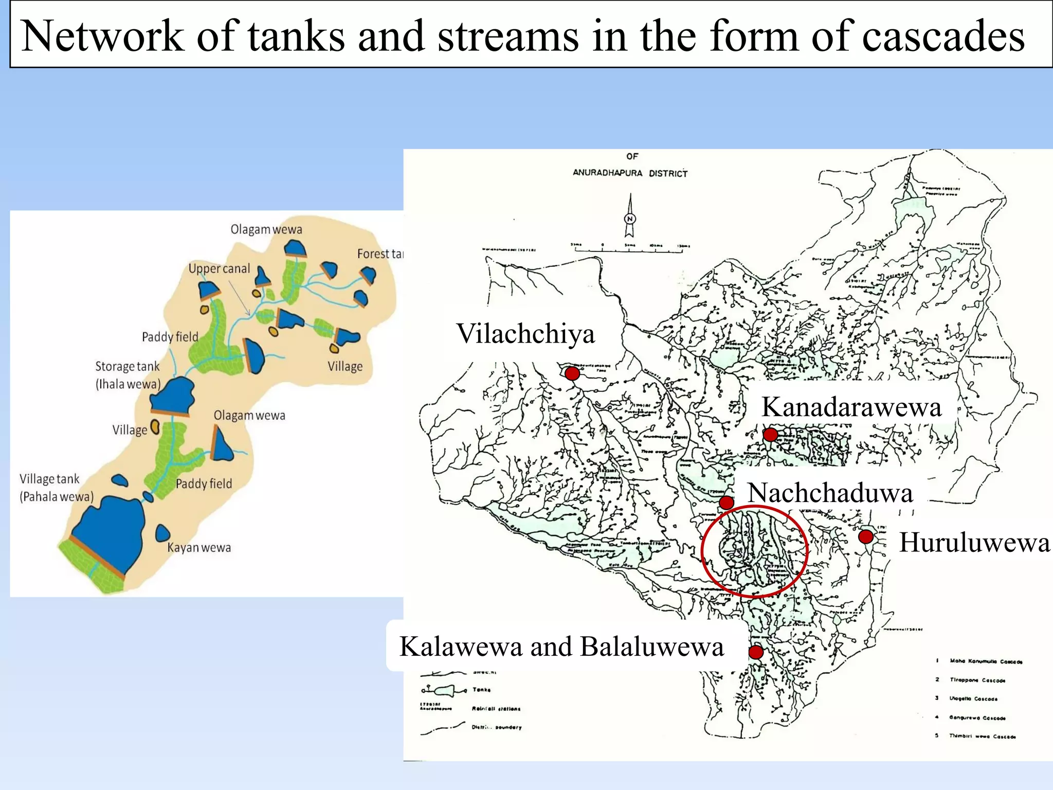 The importance of maintaining the ecological balance within tank ...