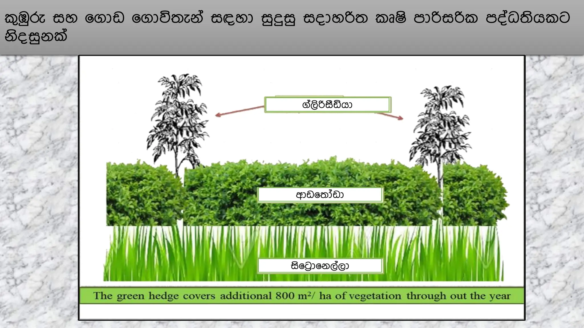 ශ්‍රී ලංකාවේ වැව් එල්ලංගා පද්ධති - 2 Tank Cascade Systems in Sri Lanka ...