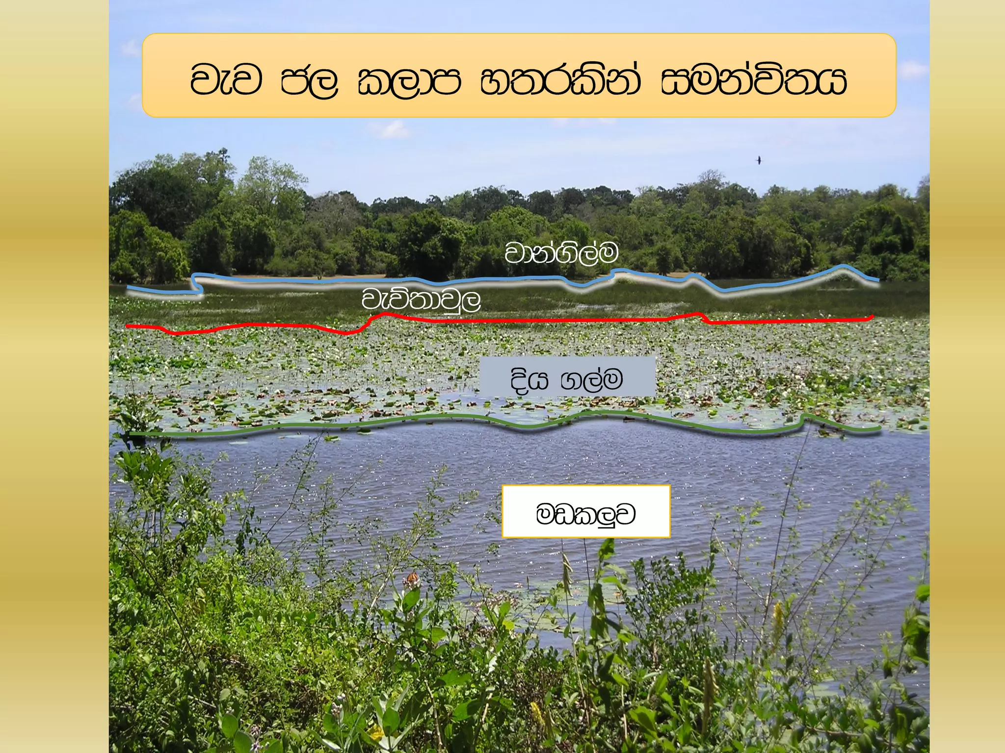Tank cascade systems in Sri Lanka | PDF