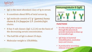 Immunoglobulins | PPTX