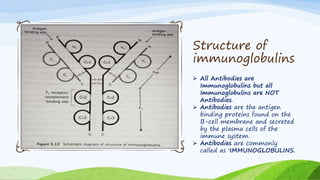 Immunoglobulins | PPTX