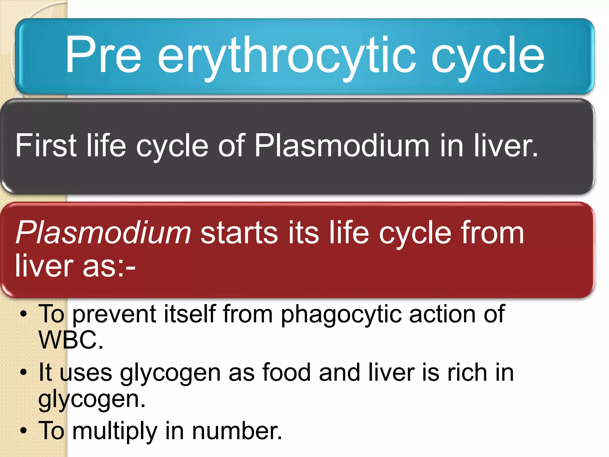Plasmodium Life Cycle | PPTX