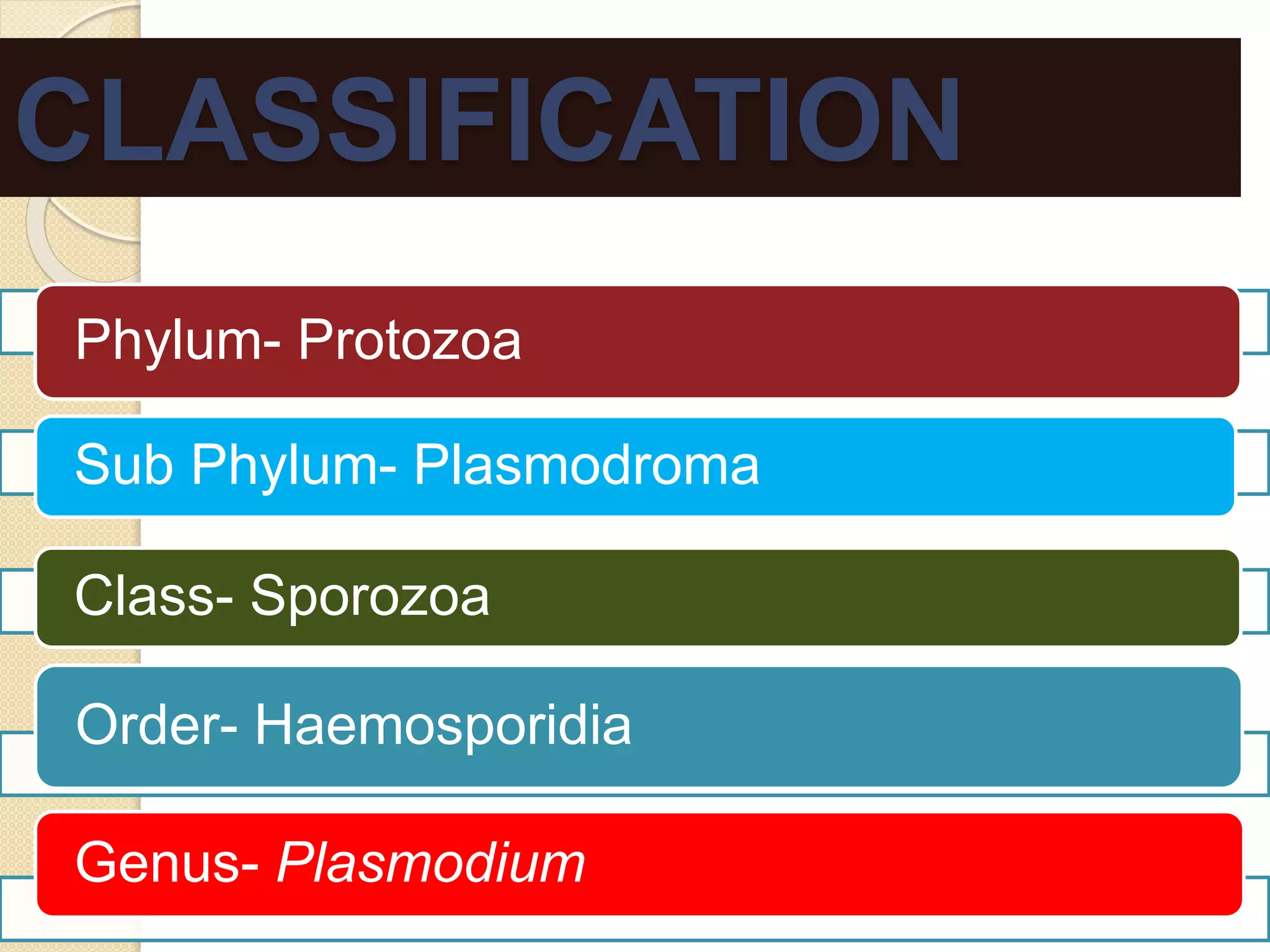 Plasmodium Life Cycle | PPTX