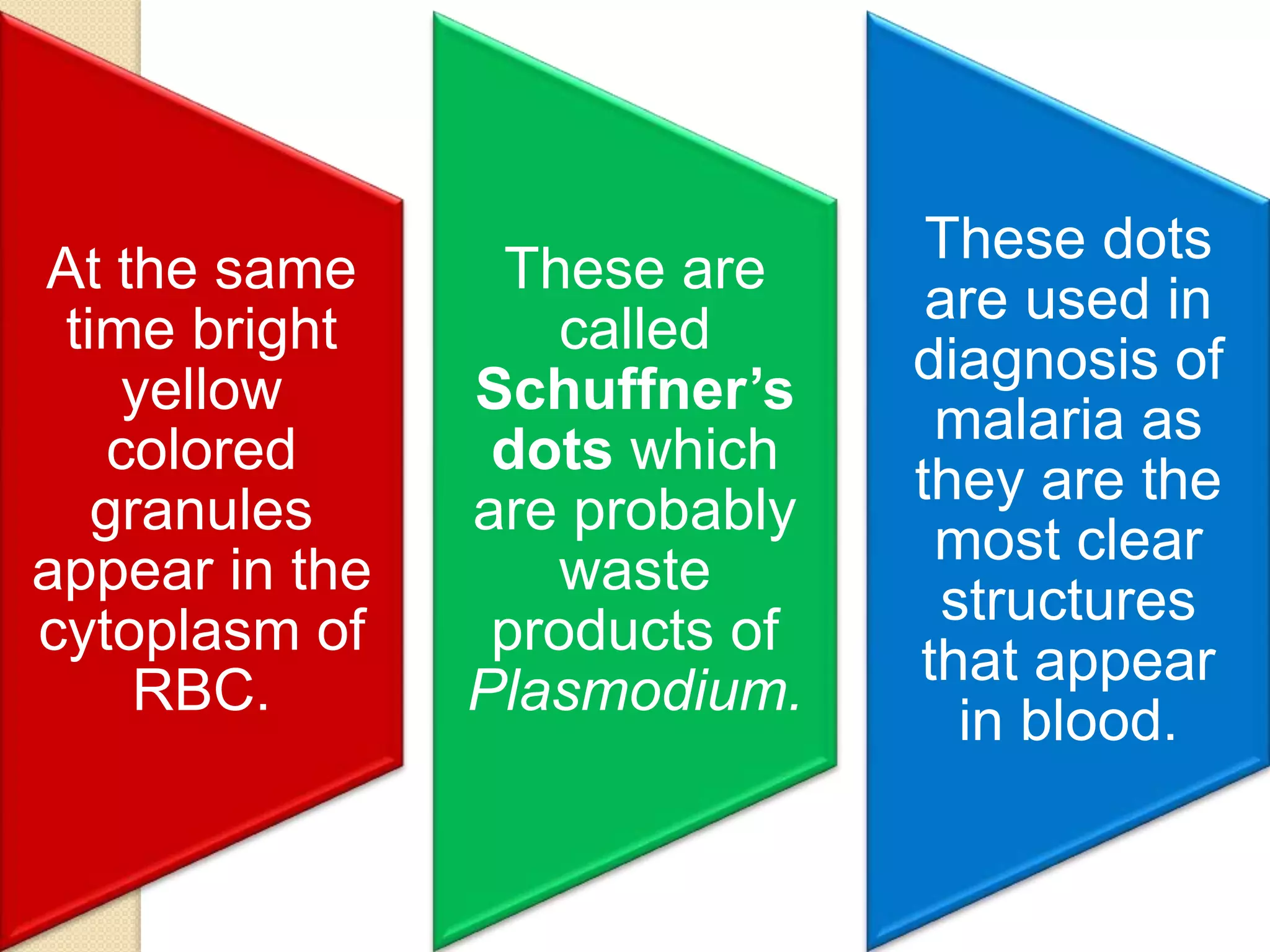 Plasmodium Life Cycle | PPTX