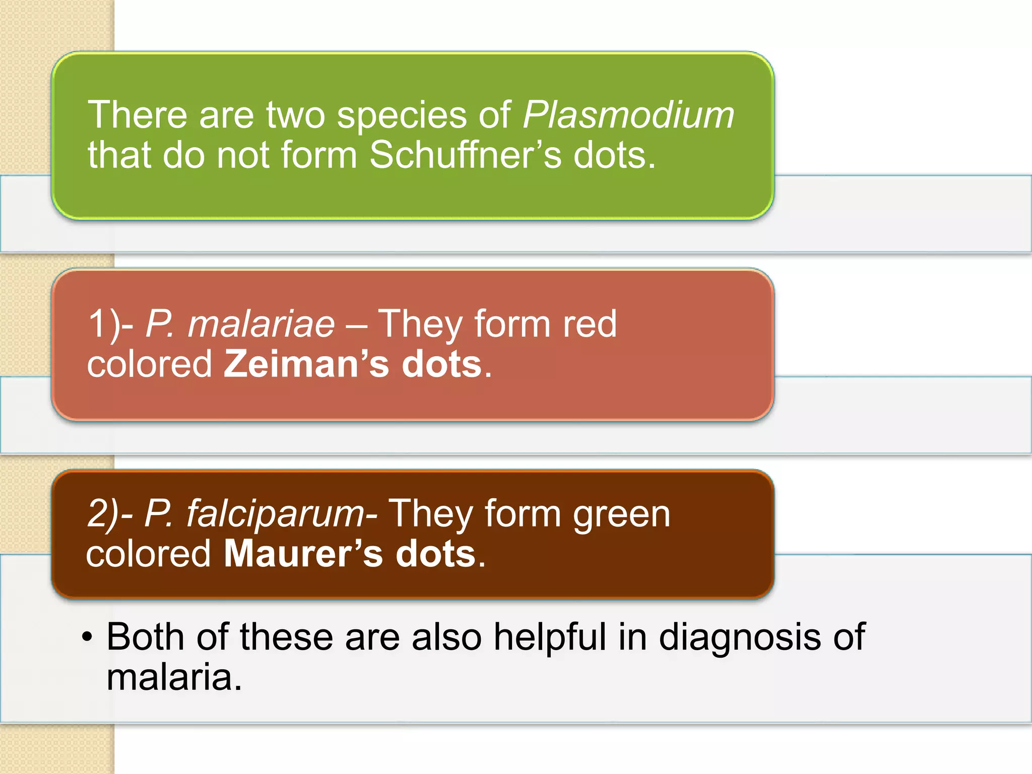 Plasmodium Life Cycle | PPTX
