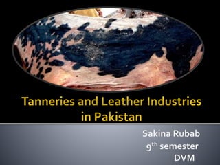 Tanneries and leather industries in pakistan | PPTX
