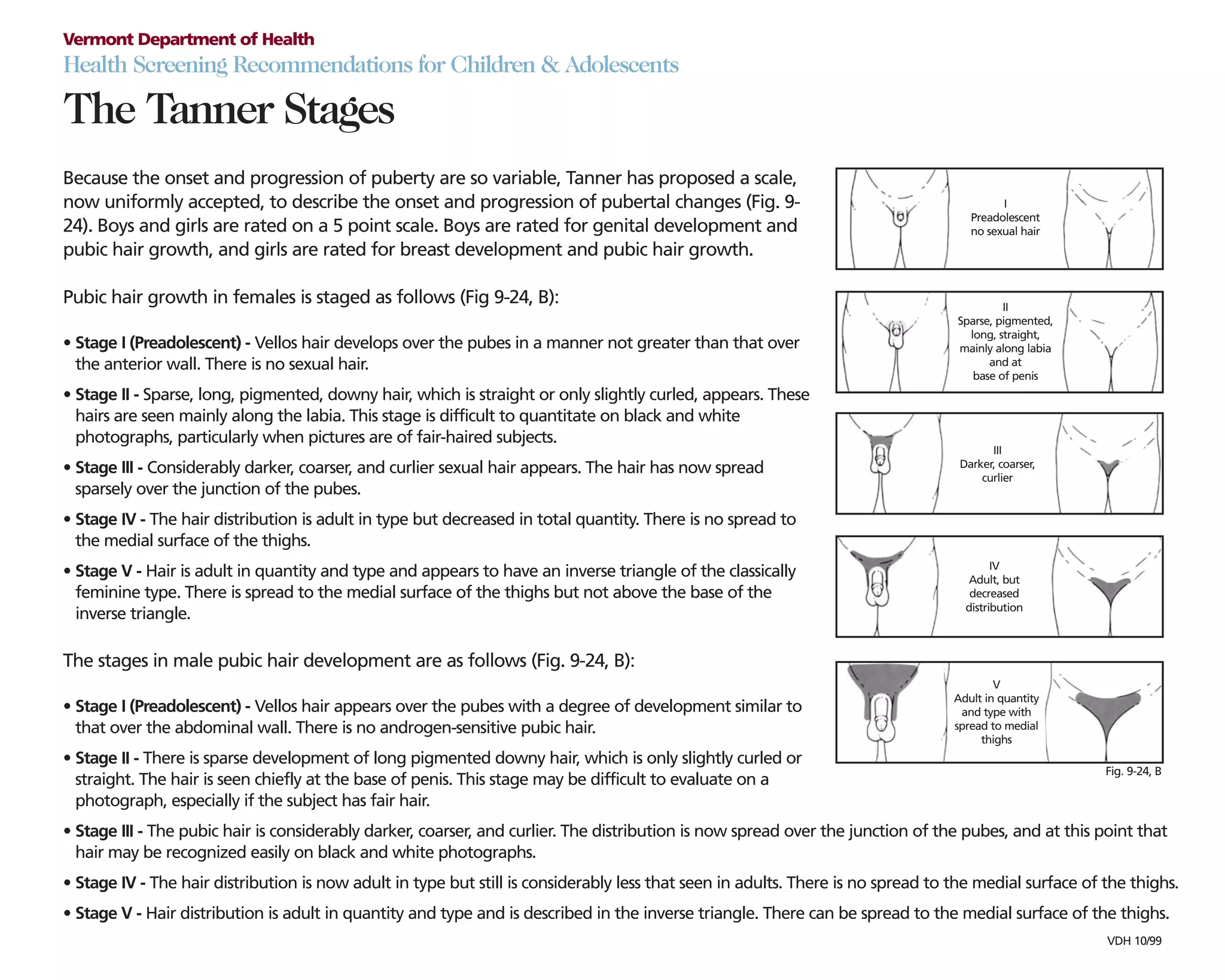 tannerstagescard (1).pdf