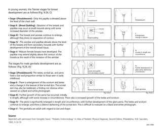 tannerstagescard (1).pdf