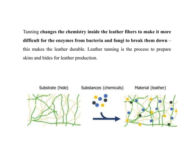 Tannery industrial process, Waste generation, and Waste management.pptx ...
