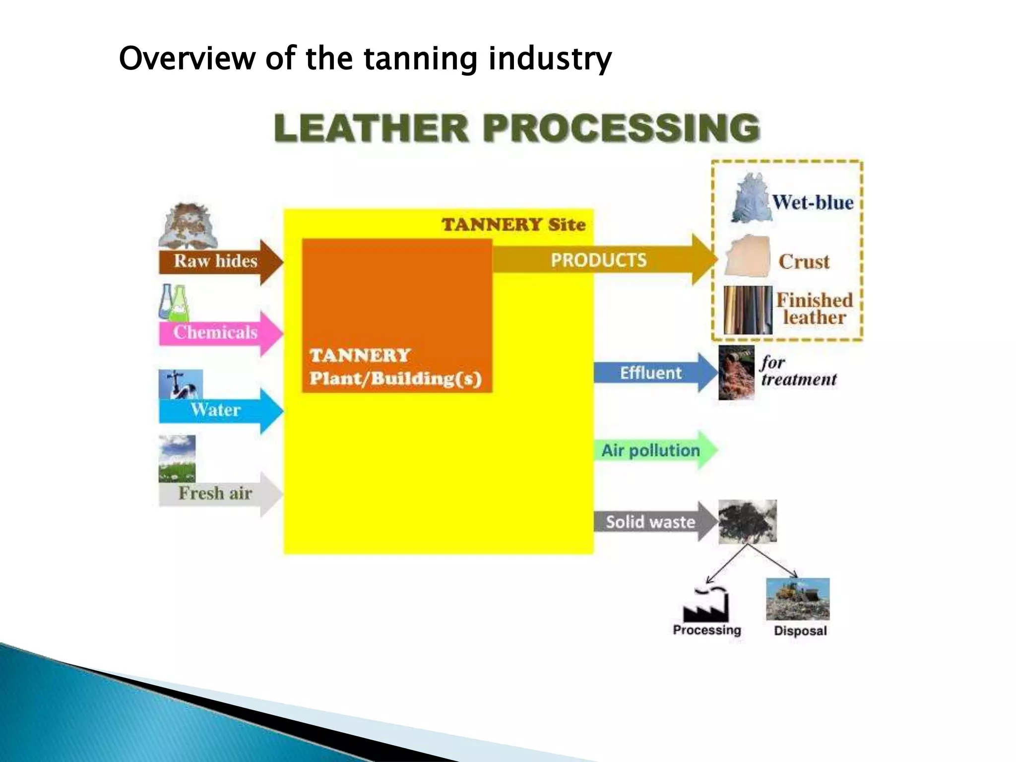tannery industry operation, process and treatment | PPTX