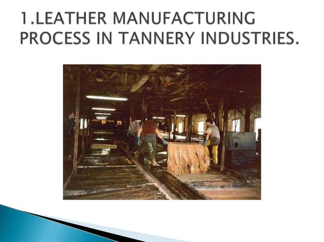 tannery industry operation, process and treatment | PPTX