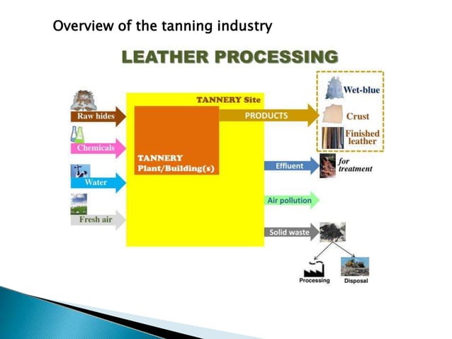 tannery industry operation, process and treatment | PPTX
