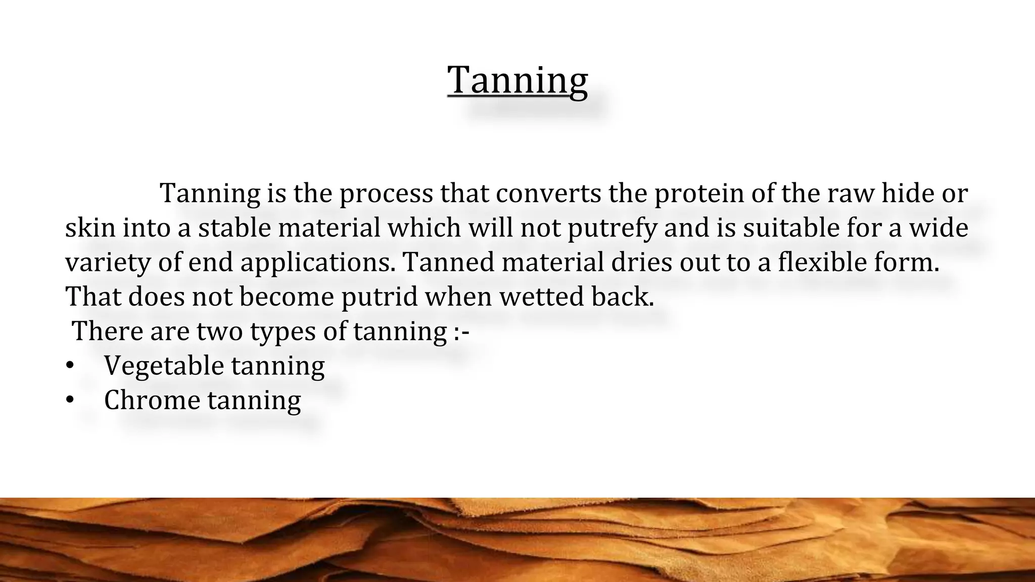 Tannery industry (BE C) | PPTX