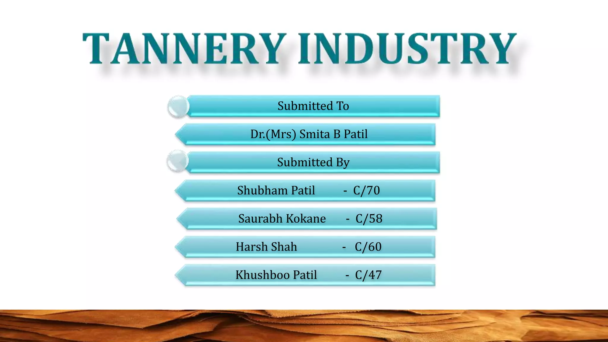 Tannery industry (BE C) | PPTX