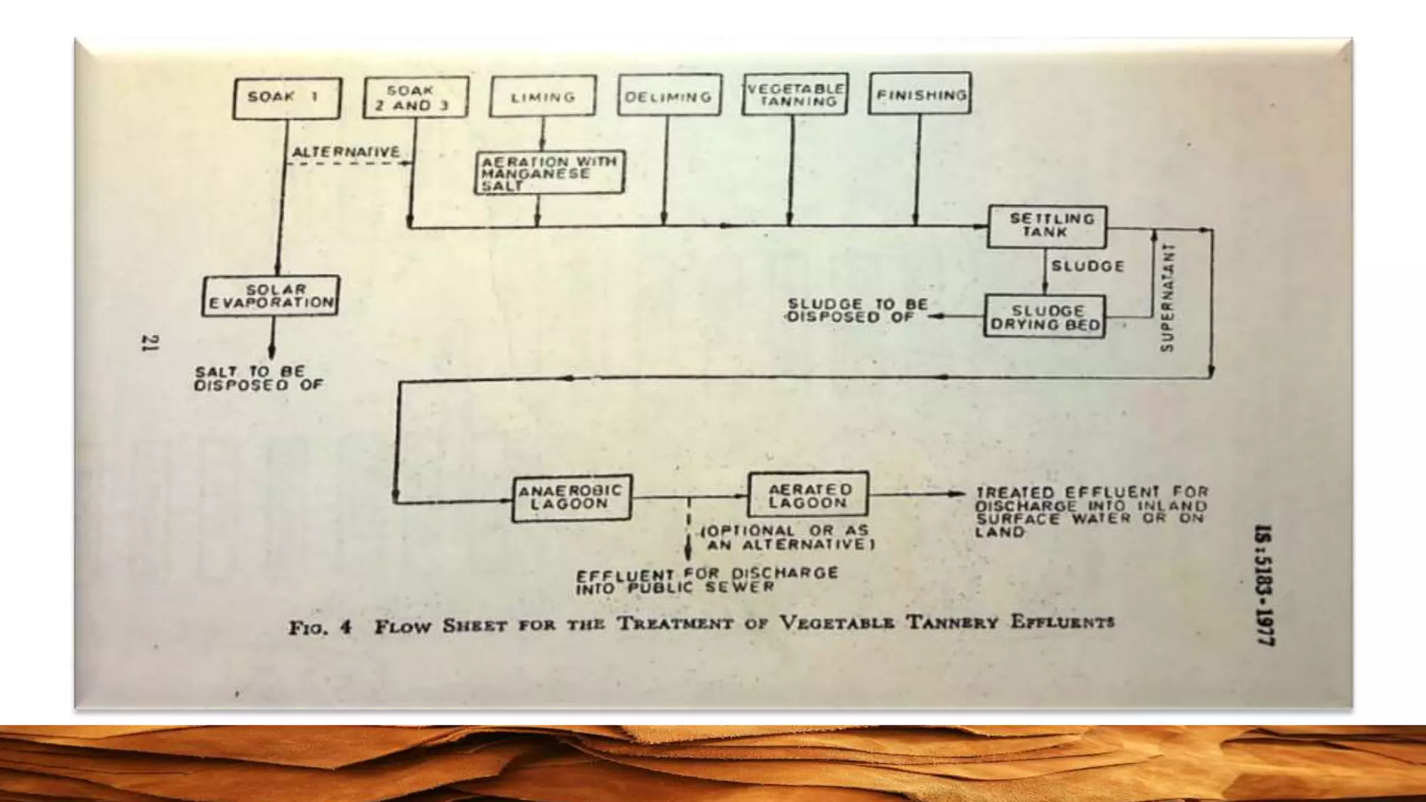 Tannery industry (BE C) | PPTX