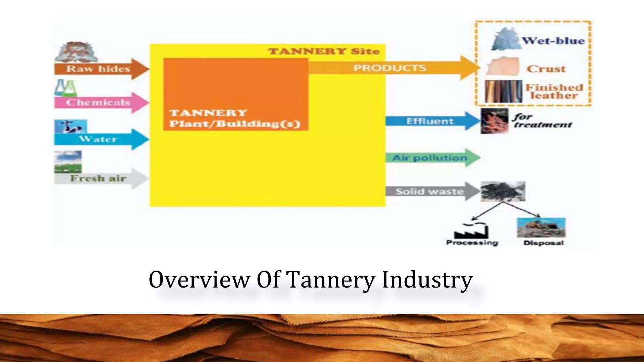 Tannery industry (BE C) | PPTX