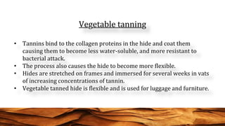 Tannery industry (BE C) | PPTX