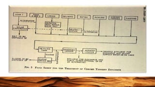 Tannery industry (BE C) | PPTX