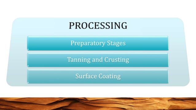 Tannery industry (BE C) | PPTX | Skin and Dermatology | Diseases and ...