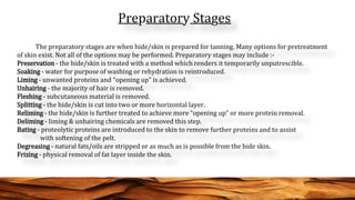 Tannery industry (BE C) | PPTX