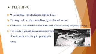 Tannery waste | PPTX