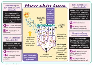 Tanning | PDF
