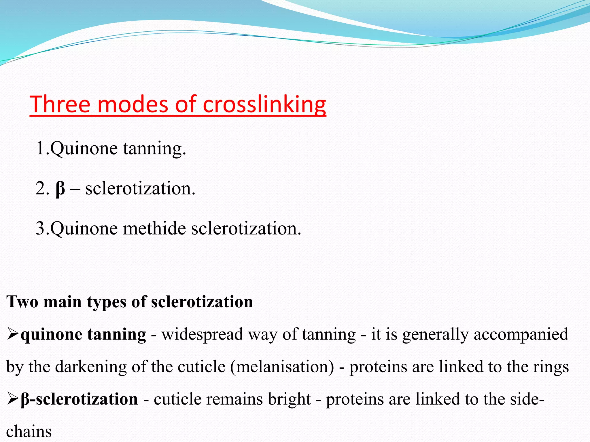 Tanning and plasticization | PPTX