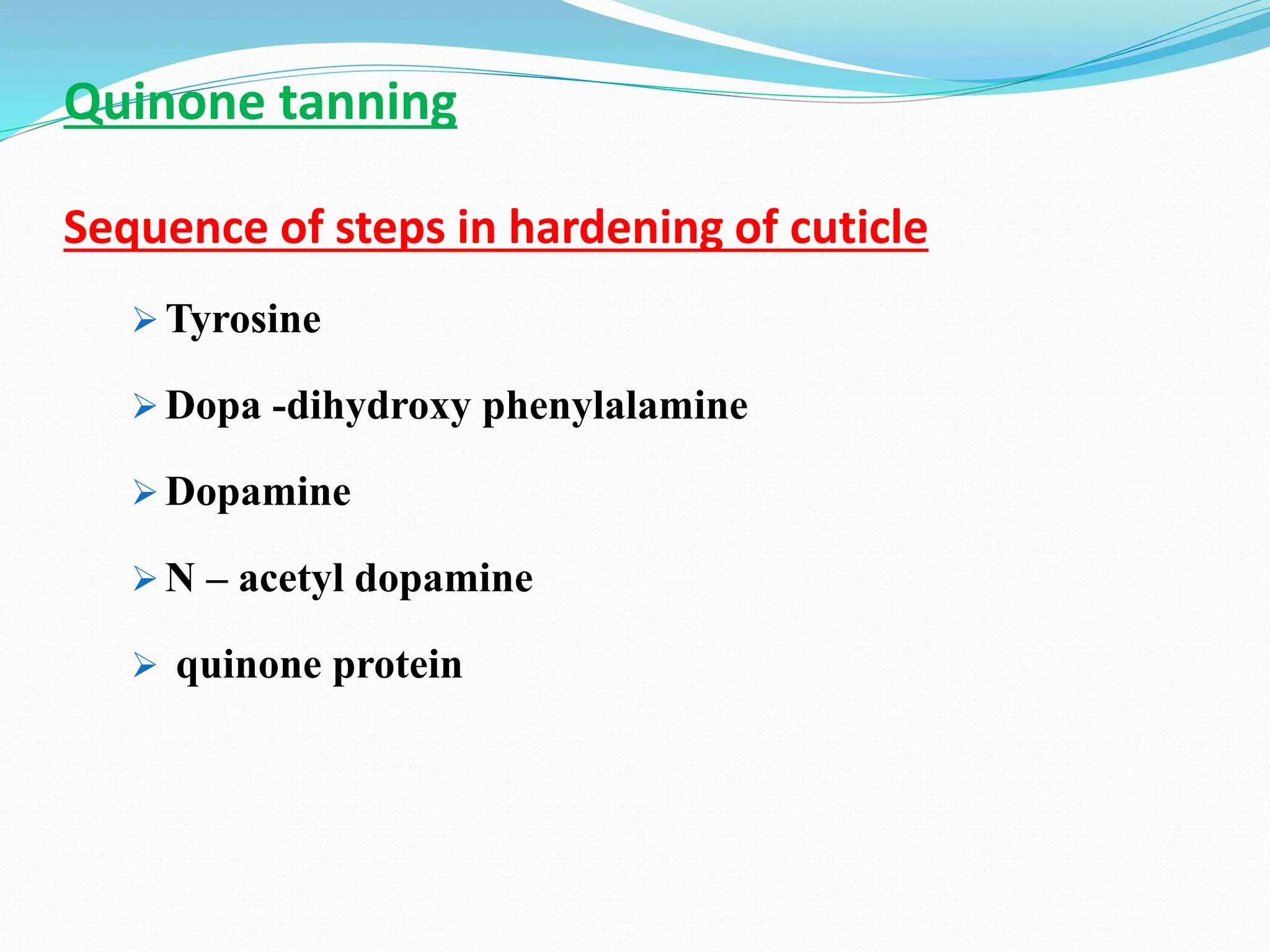 Tanning and plasticization | PPTX