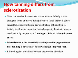 Tanning and plasticization | PPTX