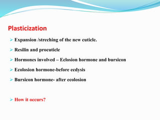 Tanning and plasticization | PPTX