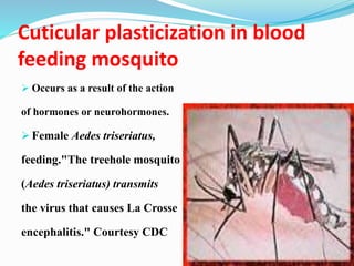 Tanning and plasticization | PPTX