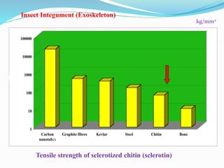 Tanning and plasticization | PPTX