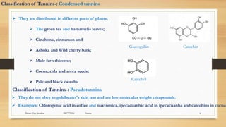 Tannins | PPTX
