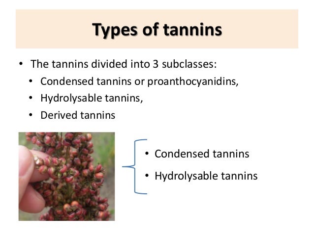 Tannins