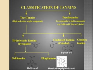 Tannins | PPTX