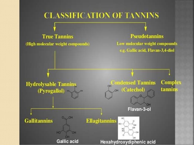 Tannins | PPTX | Chemistry | Science