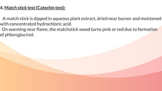 Tannins | PPTX | Herbs and Supplements | Alternative Medicine