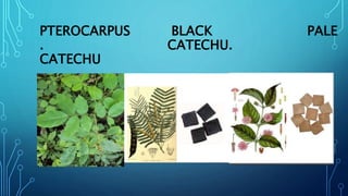 Tannins-Pharmacognosy | PPTX