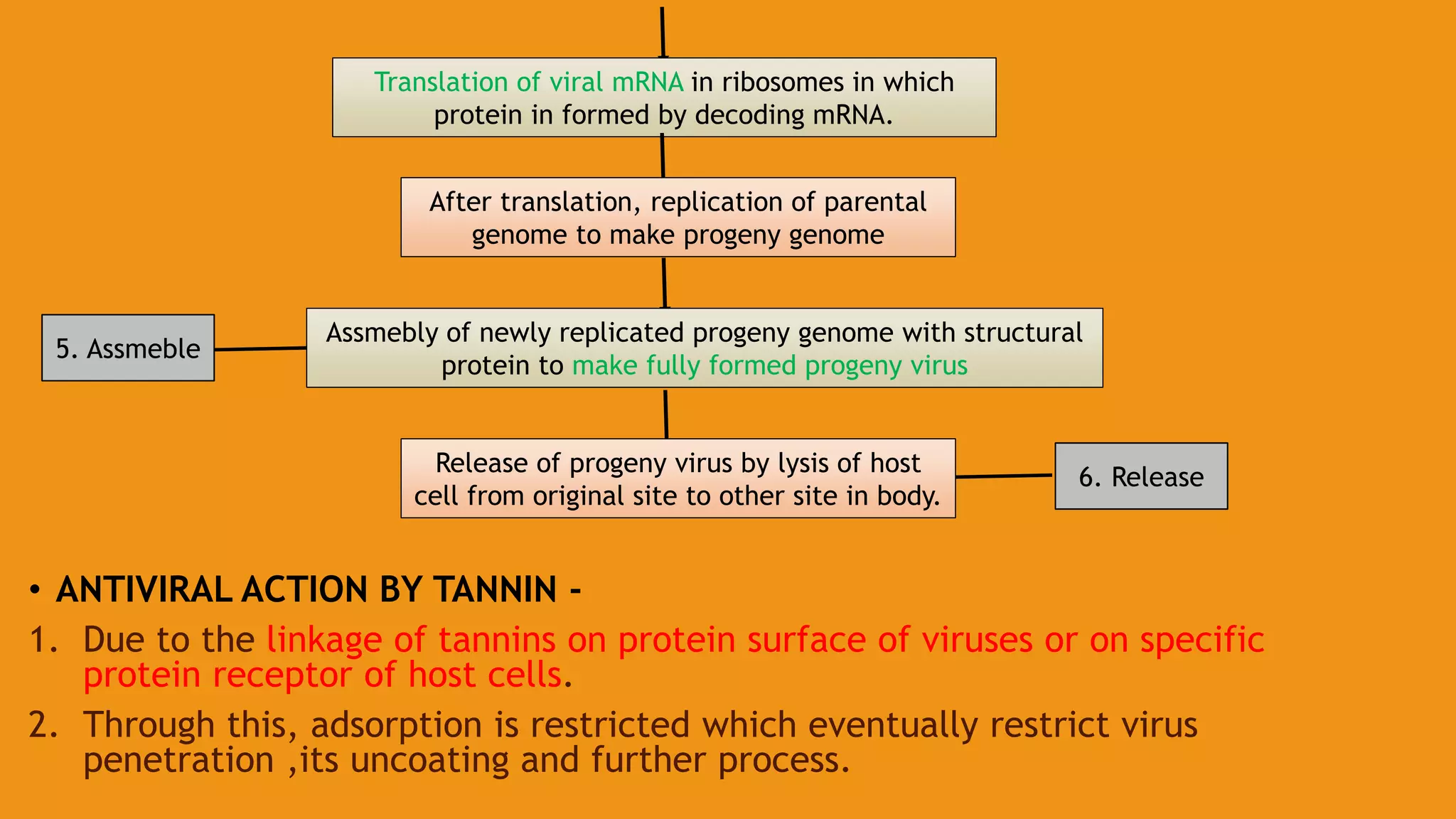 Tannins | PPTX